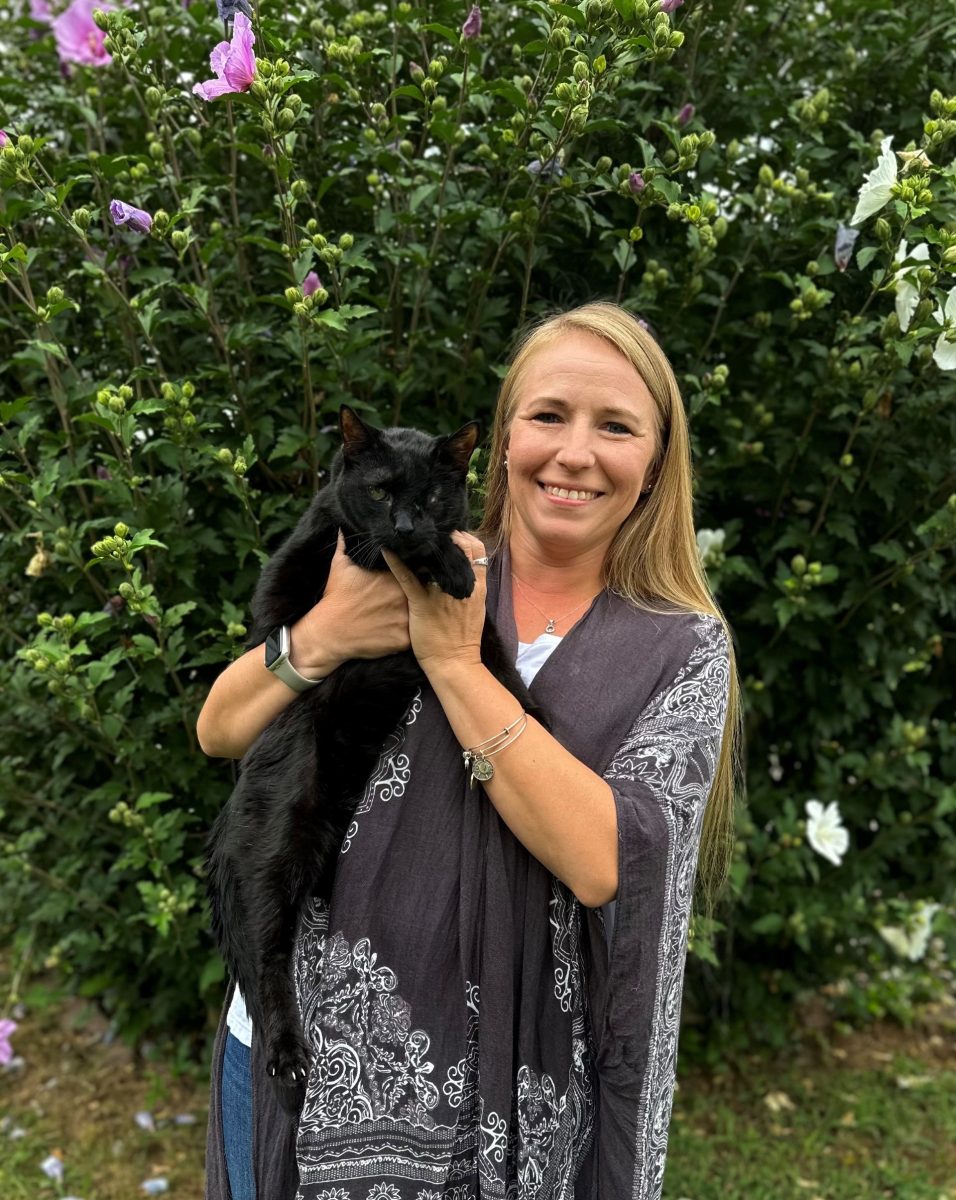 Our Care Team in Delaware | VidaVet Veterinary Hospital